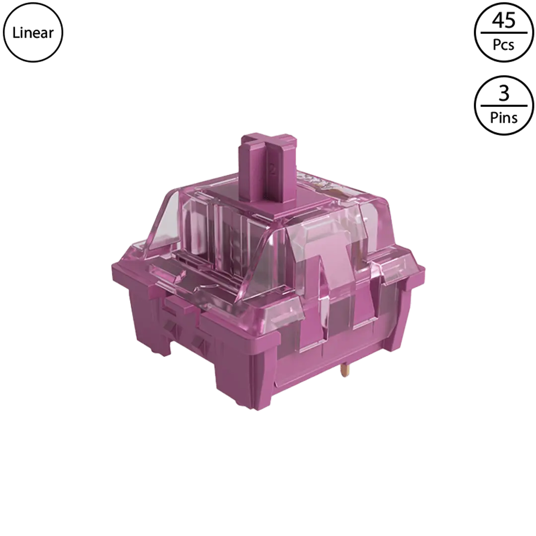 Switch @ TK Computer KH, Cambodia